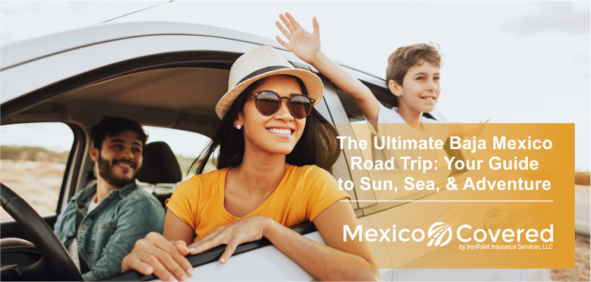 Baja Mexico Road Trip: The Ultimate Guide